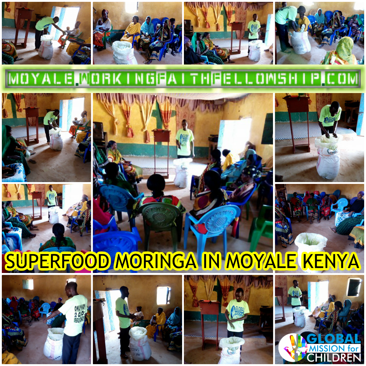 Moringa Superfood in Moyale • Working Faith Fellowship